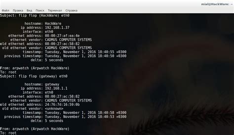 Intrusion Detection Penetration Testing Tools
