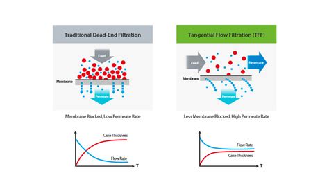 Cross Flow Filtration Vs Tangential Flow Filtration At Floyd Wright Blog