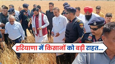 Haryana News हरियाणा में किसानों को बड़ी राहत बारिश और ओलावृष्टि से