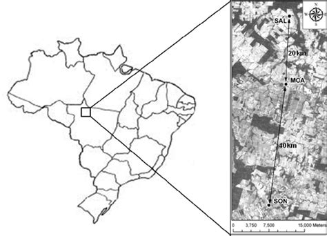 Localização Geográfica Das Populações De M Flexuosa Amostradas No
