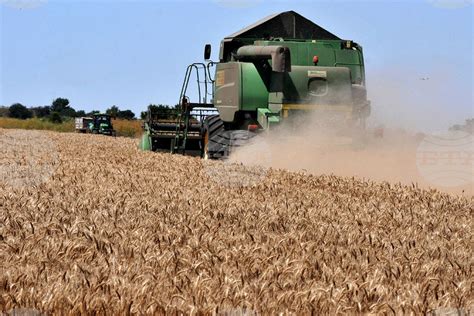 Украинските фермери може да намалят сеитбата на зимни зърнени култури с поне 30 процента Утро