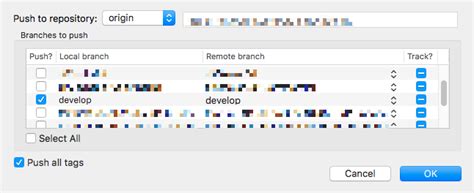 Repository Tag Already Exists In The Remote Error After Recreating