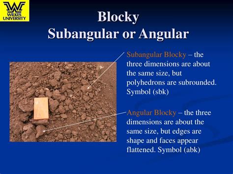 PPT Soil Structure PowerPoint Presentation Free Download ID 357696