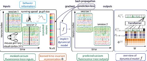 Figure 1 From Learning Time Invariant Representations For Individual Neurons From Population