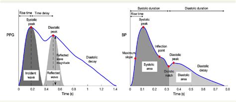 Figure 4 From Leveraging The Potential Of Machine Learning For Assessing Vascular Ageing State