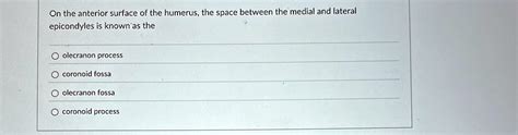 On The Anterior Surface Of The Humerus The Space Between The Medial And Lateral Epicondyles Is