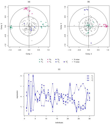 Correlation Circle Plots For The Simulation Study Correlation Circle Download Scientific