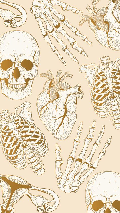 Anatomy And Physiology Cover Page