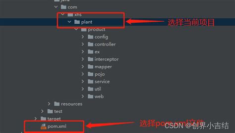 打开java项目没有maven决解方法 Csdn博客