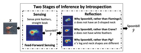 Introspective Learning In Neural Networks Ghassan Alregib