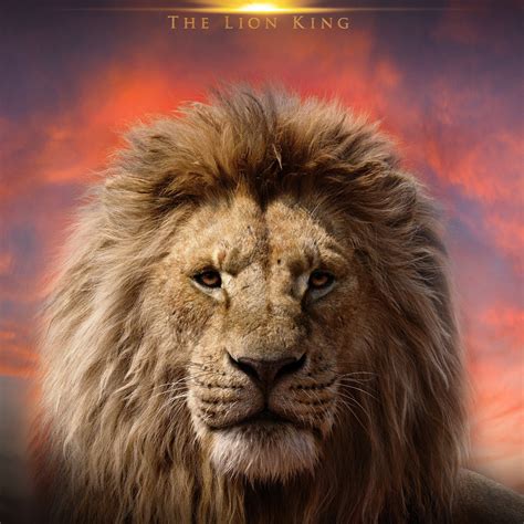 Mufasa The Lion King Wallpapers Wallpaper Cave