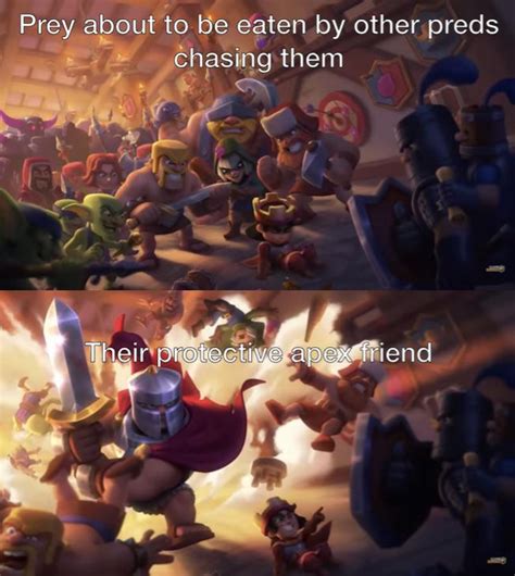 Vore Irl R Vore Irl