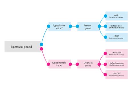 Intersex Conditions Pictures
