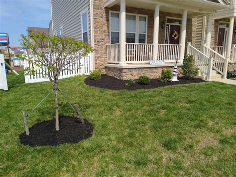 Grass Guys Lawn Care