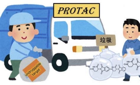 刺向undruggable Target的一把利剑：蛋白降解靶向嵌合体protac 化学空间 Chem Station