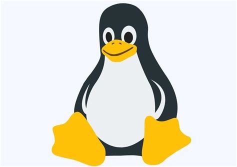 Network Troubleshooting Tools In Linux Naukri Code 360