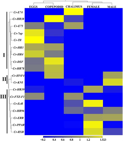 heat map representing the hierarchical clustering of features of