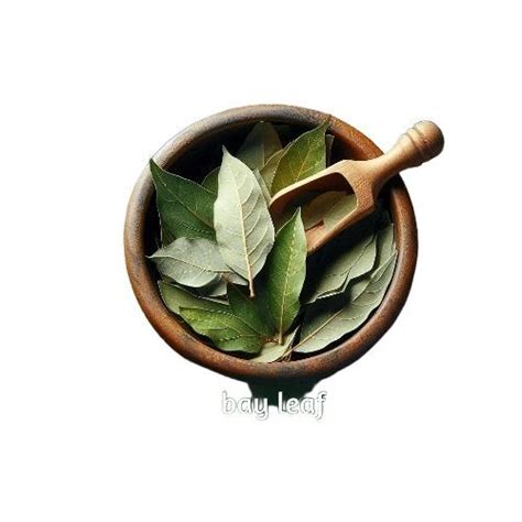 Bay Leaf At Best Price In Guwahati Assam Avikash Solutions