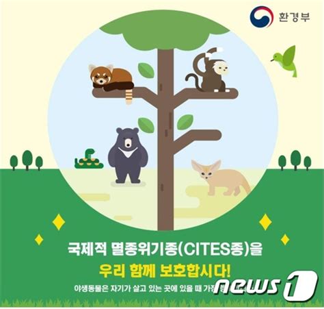국제적멸종위기종 사육기준 완화 논란