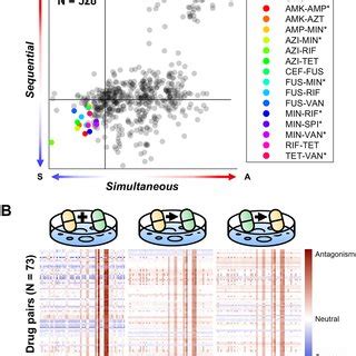 Pairwise Combination Therapy Prediction Across 57 Media Conditions A Download Scientific