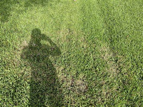 D4 Fd2 A1 C 96 B7 4 D66 8 Cb3 Ef0 C1 A58749 E — Postimages