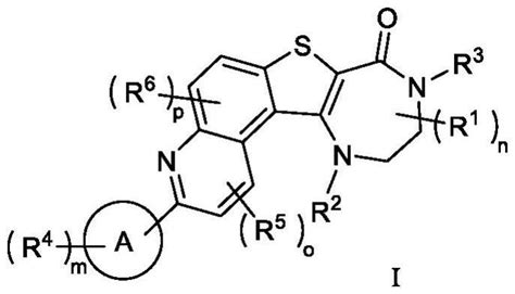 一种四环内酰胺衍生物及其用途的制作方法