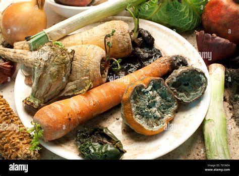 Fresh Fruit Rotting Vegetables At Will Mcguirk Blog