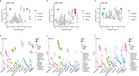 The Distribution Of Bacteria At The Genus Level In The Gut Microbiota