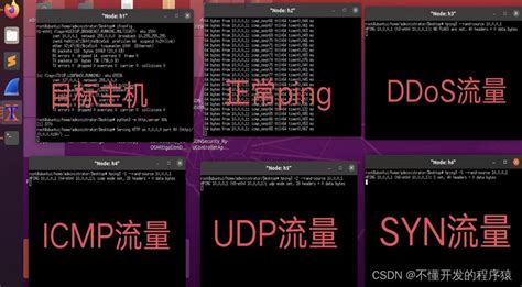 基于sdn的网络流量分析与控制 实验在sdn的环境中的拓扑图上怎么获取流量信息 Csdn博客