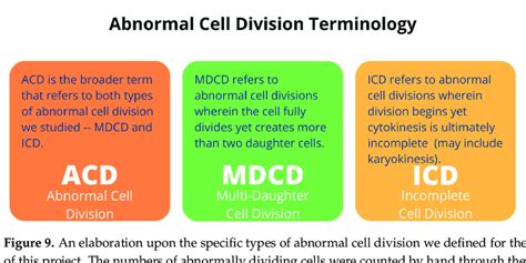 An Elaboration Upon The Specific Types Of Abnormal Cell Division We