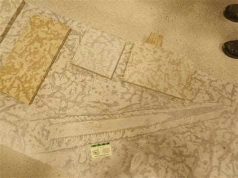 Tyndall Stone Quarry Egm Heritage