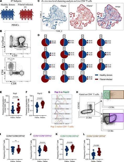 Jci Insight Single Cell Molecular Signature Of Pathogenic T Helper Subsets In Type 2