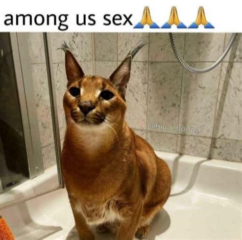 Ii J Among Us Sex Aa Ifunny