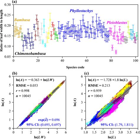 Ratio Of Leaf Width W To Length L And The Scaling Relationships Download Scientific Diagram