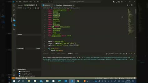 Video Jana Ayman On Linkedin Codealpha Voiceassistant Python