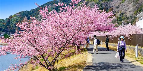 Japan Weather In May 2027 Mild Climate And Start Of Rainy Season