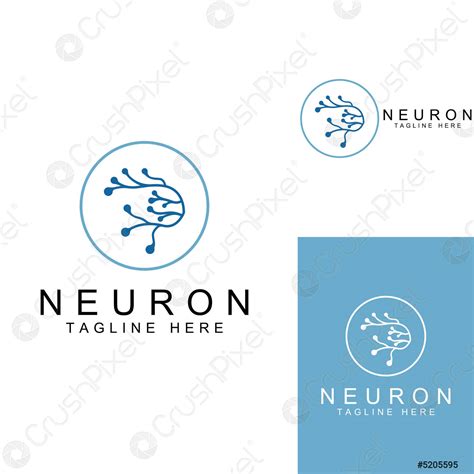Neuron Logo Or Nerve Cell Logo With Vector Concept Stock Vector