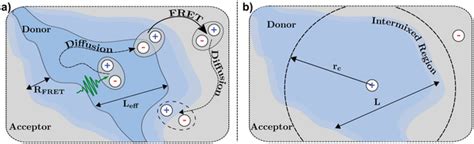Charge Generation And Recombination Processes In Organic Semiconductor