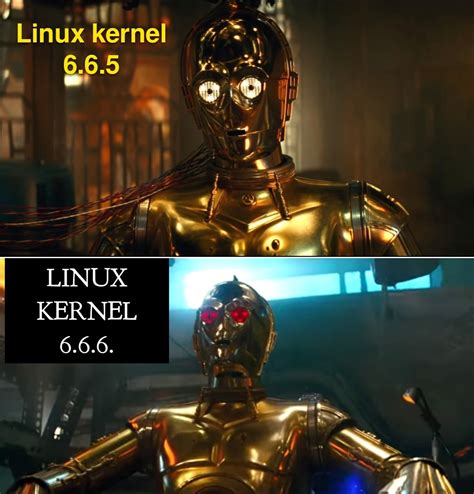 The Unholy Linux Kernel Rmeme