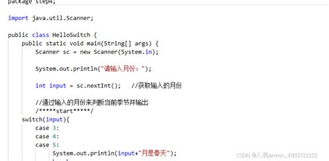 第4关 Java分支结构之switch【java 分支结构之 Switch：灵活的选择利器】第4关java分支结构之switch Csdn博客