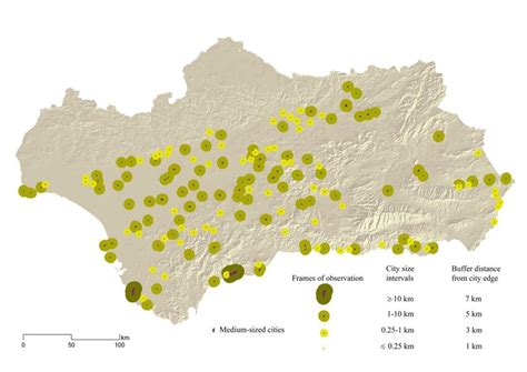 Spatial Dimensions Of Buffer Zones Download Scientific Diagram