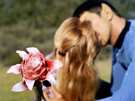 Sex Pollen On Tumblr