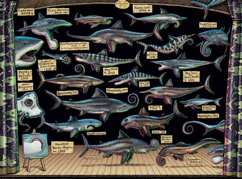 Sarcoprion Shark