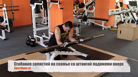 Сгибание запястий на скамье со штангой ладонями вверх Youtube