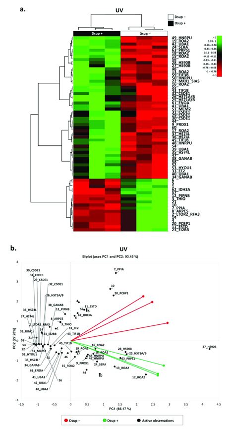 A Heatmap Analysis Of The Differential Spots Found Via Proteomic Download Scientific Diagram