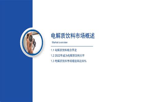 2023年中国电解质饮料行业市场洞察报 Foodaily每日食品