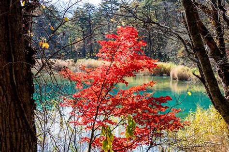 福島県秋の五色沼を散策魅力の蒼い湖畔を堪能する朝のひととき山形への道すがら立ち寄る風景
