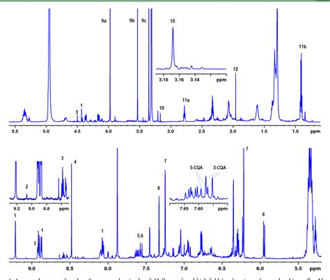 What Is Quantitative Nmr At Lea Blackburn Blog