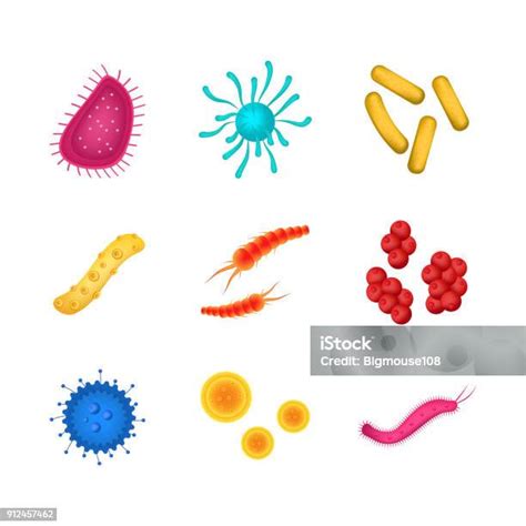 현실적인 상세한 3d 바이러스 및 박테리아 세트입니다 벡터 바이러스에 대한 스톡 벡터 아트 및 기타 이미지 바이러스 다양