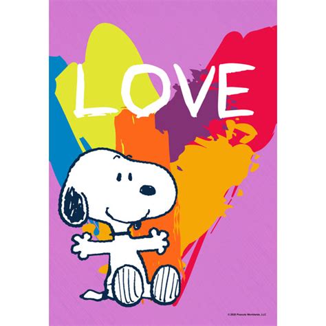 Back Yard Glory Peanuts Rainbow Love Snoopy Everyday House Flag 28 X